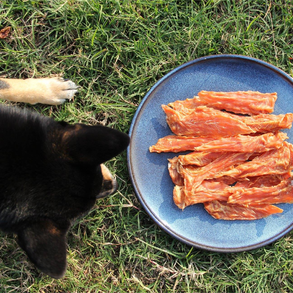 【毛孩食務所】寵鮮灶腳-黃金雞菲力｜新光三越 skm online｜skm online 新光三越線上官方購物平台